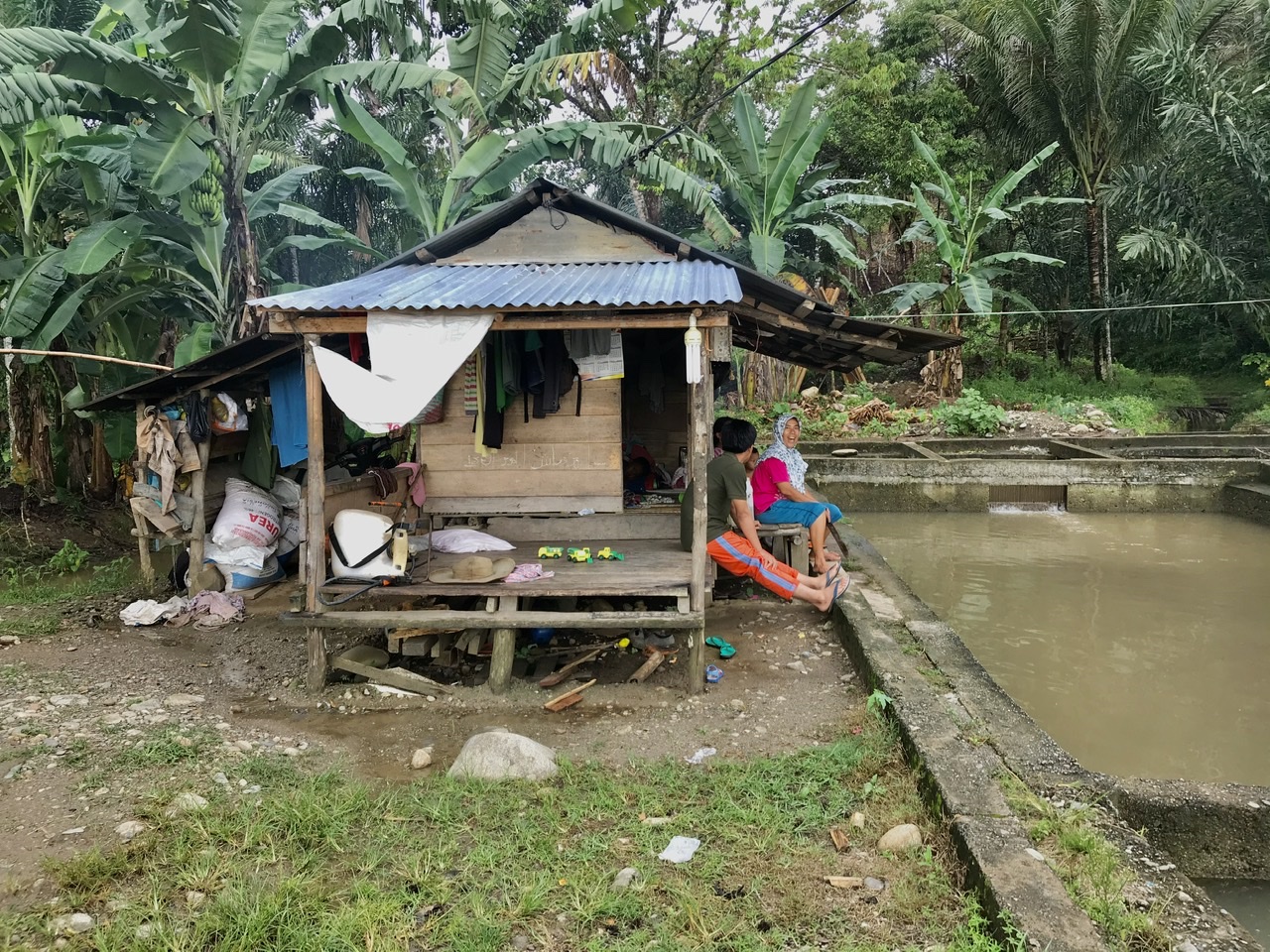 January 19-22: The Village of Little People – Trish Patrick Blogs
